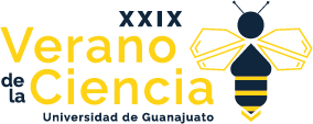 Veranos de la Ciencia UG - Carteles 2024