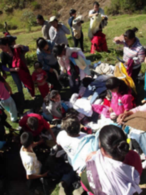 Social solidarity from college students in marginal communities