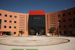 CACECA reacredita cinco programas educativos de la DCEA